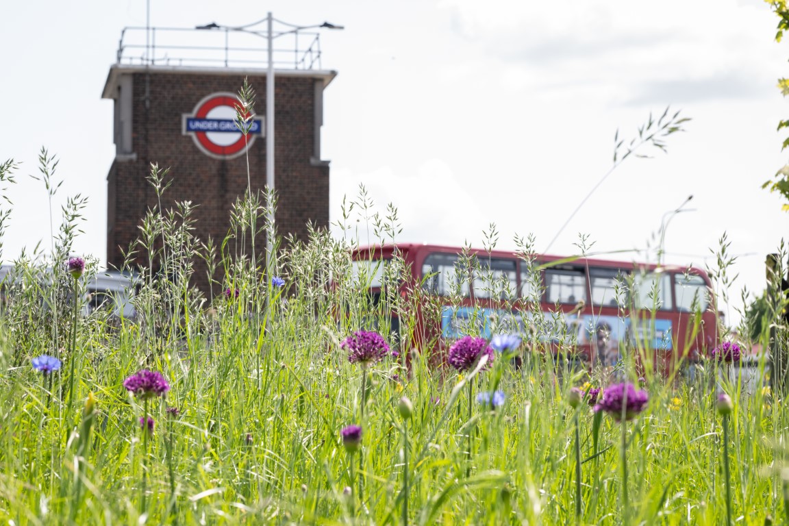 TfL publishes green infrastructure plan