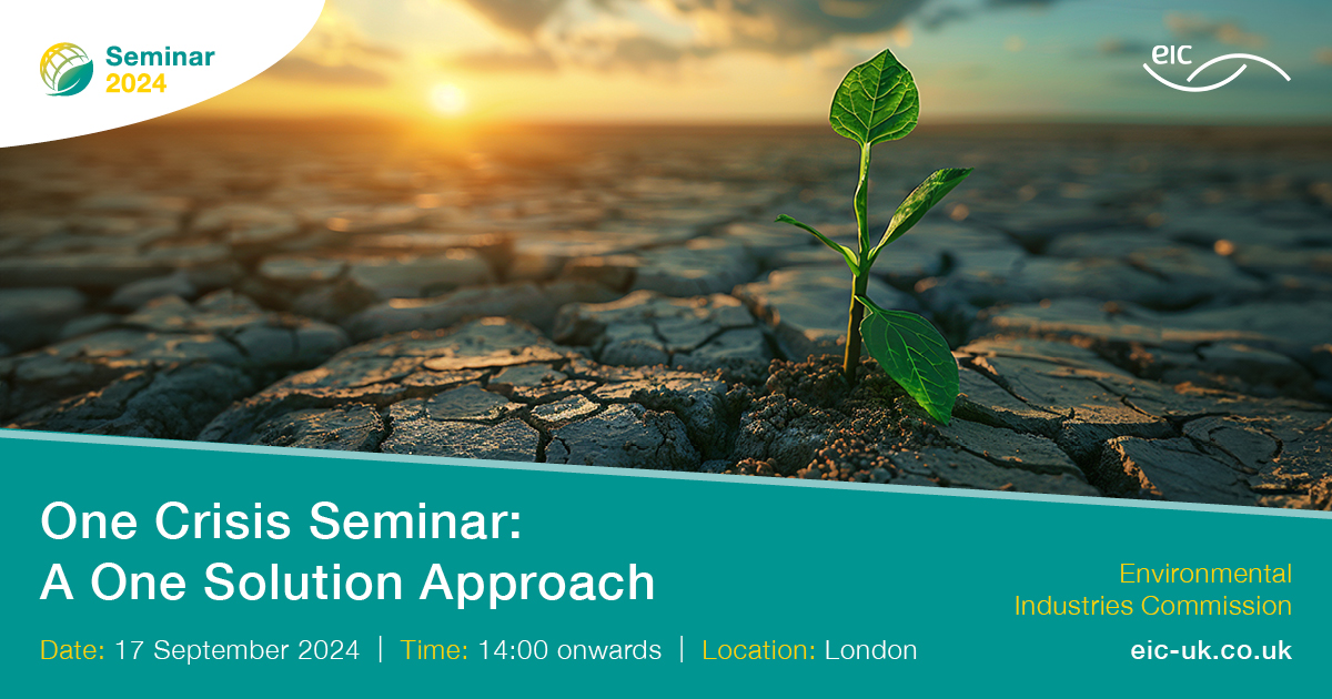 One Crisis: A one solution approach